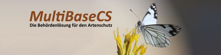 Über MultiBaseCS – MultiBaseCS